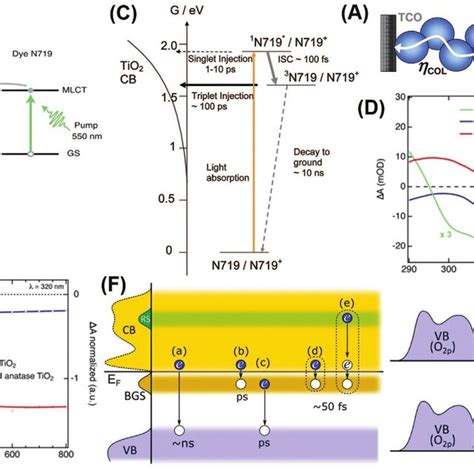 Pictorial Representation Of A Spp And B Lspr Reproduced With Download Scientific Diagram