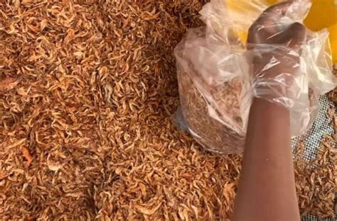 Oron Dry Blended Crayfish Imported From Nigeria Organic With The