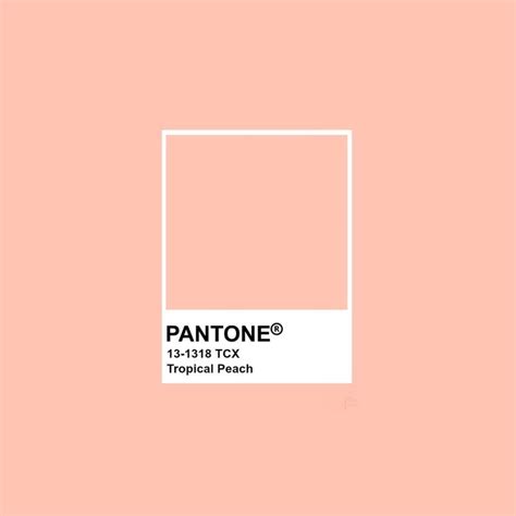 Pantone Tropical Peach Pantone Peach Melba Peach