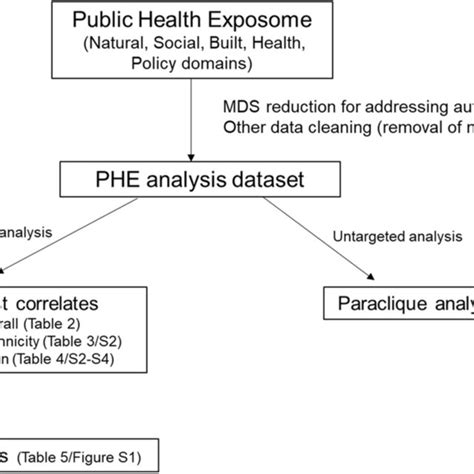 Overview Of Analysis Structure Download Scientific Diagram