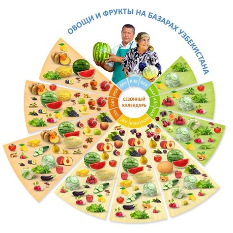 Central Asia Travel Сезонный календарь фруктов и овощей когда и что созревает в Узбекистане