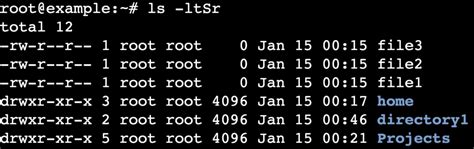 How To Use The Ls Command In Linux