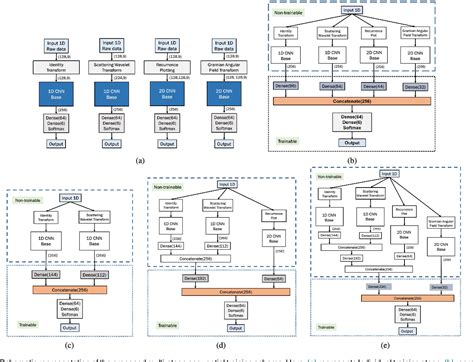 A Novel Multi Stage Training Approach For Human Activity Recognition