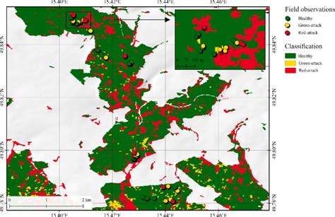 Map Of Bark Beetle Infestation Stages Healthy In Green Green Attack Download Scientific