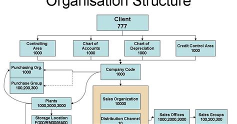 Learn SAP For Free SAP Tutorial The First Step