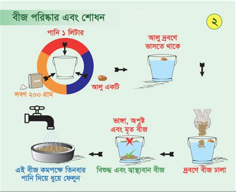 Fostering Gender Friendly Quality Seed Production Trainings In Bangladesh GREAT