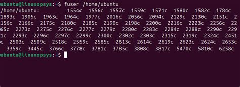 Fuser Command In Linux Explained With Examples