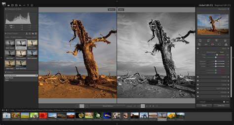 Best Free Jpeg Editor At Jacob Lutz Blog