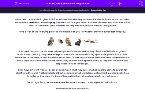 Describe The Adaptations Of Predators And Prey Worksheet Edplace