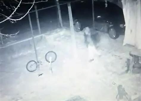 Ексклузивно в Bulnews Нагъл крадец влезе в къща в Криводол посред нощ видео