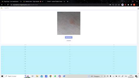 github ludovx tinyml projet final