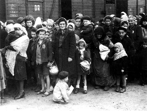 Bibliography Of The Holocaust Wikipedia