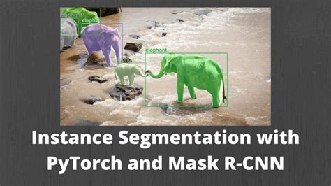 A Tutorial On Instance Segmentation With Pytorch And Mask R Cnn Rdeeplearning