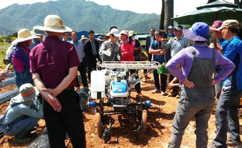 고구마 이식기 시연회 열어
