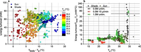 Energetics Of Honeybees Foraging In Shade ≤ 100 W M⁻² Or In Sunshine Download Scientific