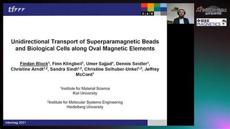 Underline Unidirectional Transport Of Superparamagnetic Beads And