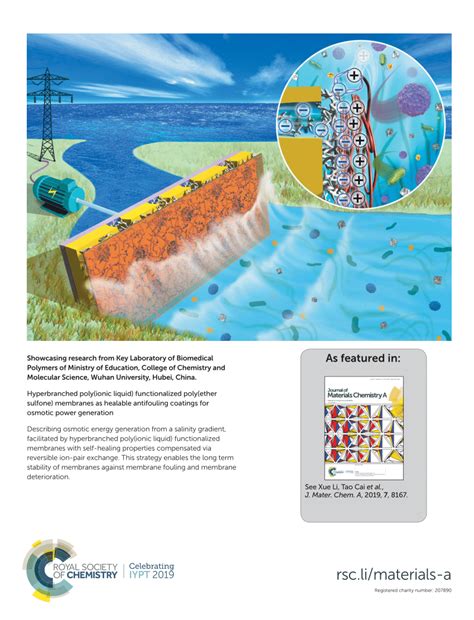 Pdf Hyperbranched Polyionic Liquid Functionalized Polyether