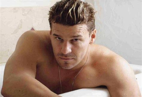 David Boreanaz Image