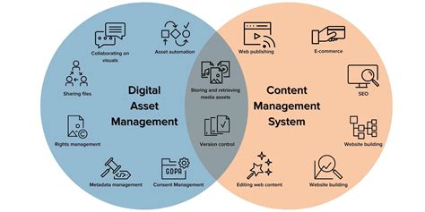 3 Benefits Of Integrating Dam And Cms