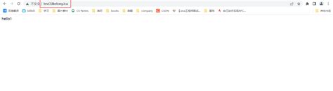 【基础篇】nginx域名解析、部署多个站点 nginx 域名 csdn博客