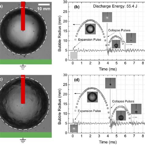Single Bubble Dynamics A Bubble Image At Maximum Size Recorded