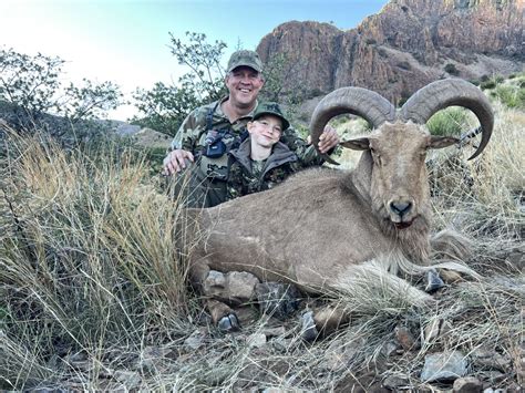 Texas Aoudad Hunt For 2 Ewes Predators Hogs And 2 Javelinas For 2