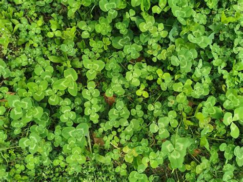 十大排序算法超全大综合，动图演示，你真的值得拥有！ 讨论 力扣（leetcode）