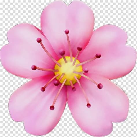 Emoji Flower Meaning Best Flower Site