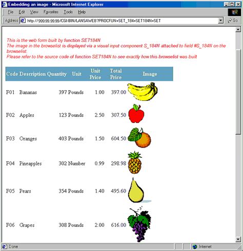 Embedding An Image Lansa Documentation