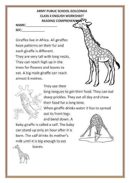 Aps21 English Class 4b Worksheet Holidays