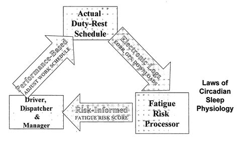 Systems And Methods For Assessing Equipment Operator Fatigue And Using