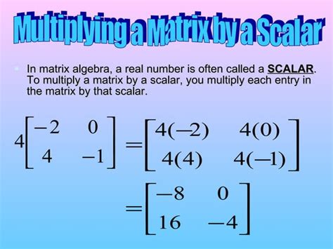 Matrix Basic Operations Ppt