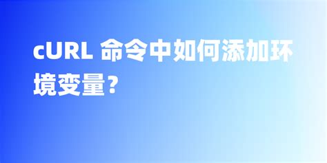 Api 基础知识教程 Apifox