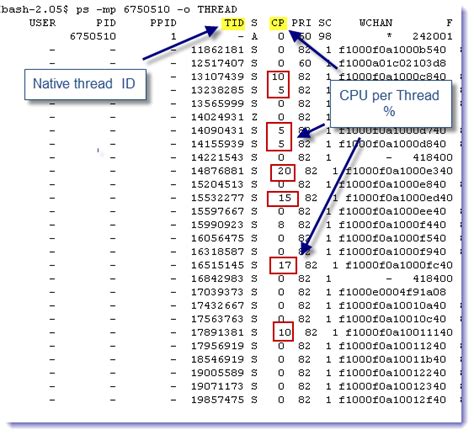 Java Just In Time Compilation More Than Just A Buzzword