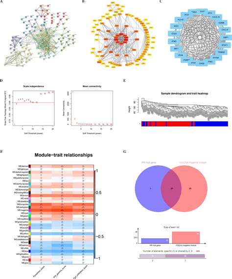 Identification Of Gene Modules Related To Pyroptosis Via Comprehensive
