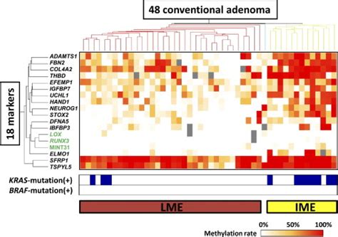 unsupervised hierarchical clustering of 48 conventional adenoma download scientific diagram