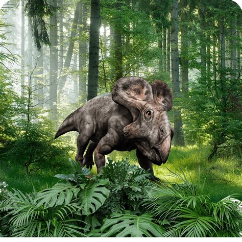 Protoceratops Cards The Universe And Everything Wiki Fandom