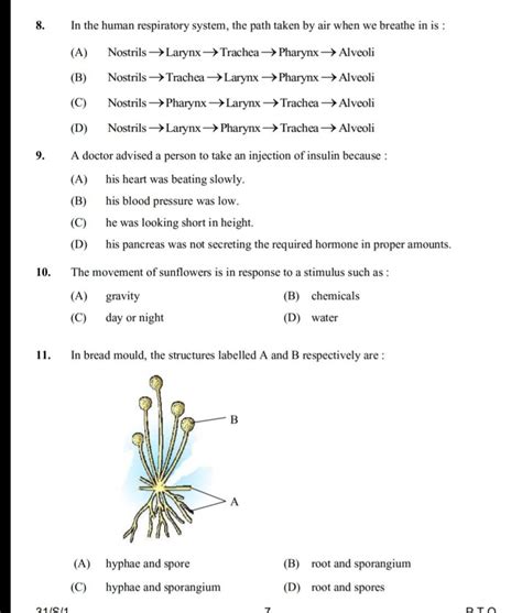 In Bread Mould The Structures Labelled A And B Respectively Are Filo
