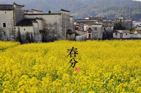 2024年春分二十四节气查询
