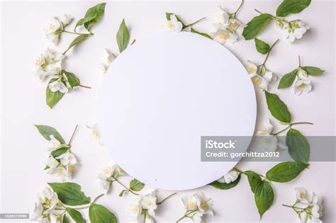 회색 종이 배경에 텍스트에 대한 빈 시트와 녹색 잎과 재스민의 꽃의 구성 엽서에 대한 자연 레이아웃 플랫 레이 계획에 대한 스톡 사진 및 기타 이미지 Istock