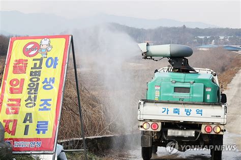 조류인플루엔자 예방을 위해 연합뉴스