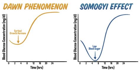 High Blood Sugar Levels In The Morning Dawn Phenomenon And Somogyi