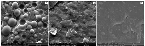 Sem Micrograph Of A Uncompatibilized 5050 Blend B Compatibilized