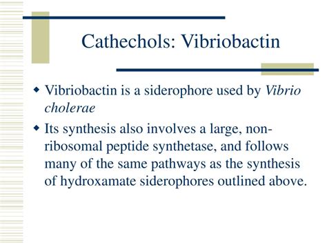 Ppt So You Want To Know About Siderophore Synthesis Powerpoint Presentation Id 344665