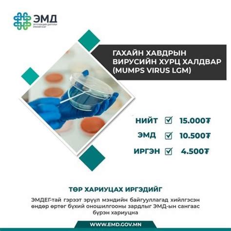 Гахайн хавдрын вирусийн хурц халдварын шинжилгээний 70 хувийг ЭМД ын сангаас хөнгөлнө