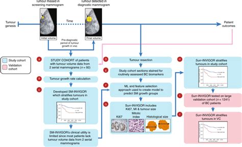 基于机器学习的体内乳腺癌生长率预测。british Journal Of Cancer X Mol
