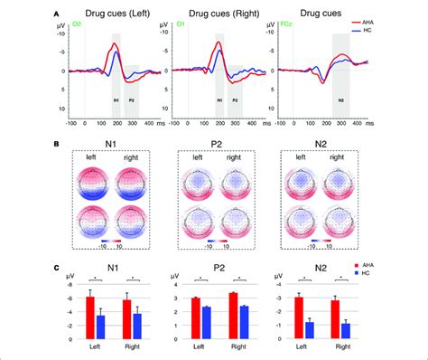 Event Related Potential Erp Analysis For The Image Related Download Scientific Diagram