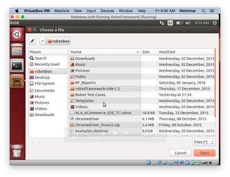 Let It Ride Or How To Setup And Run Test Cases In Robot Framework