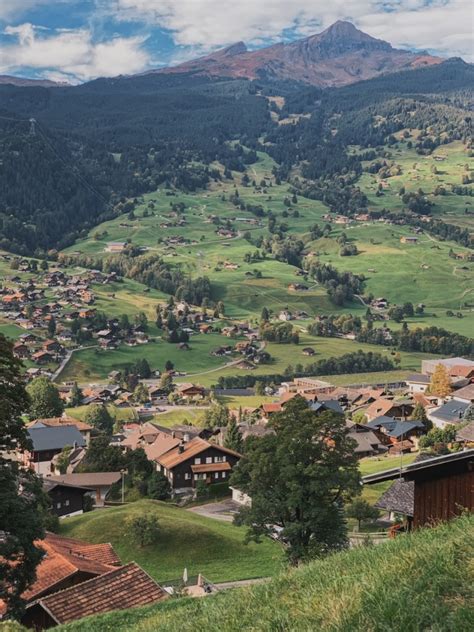 스위스 자유여행 그린델발트 숙소 추천 피르스트 바흐알프제 하이킹과 액티비티 트로티바이크 Barrys 퐁듀 네이버 블로그