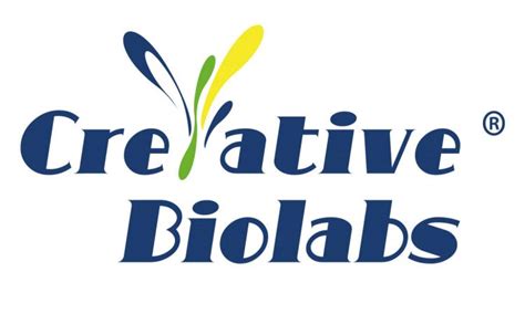 Creative Biolabs Conjugation Technology Antibody Targeting Carriers
